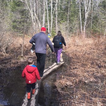 BLACK BROOK PRESERVE - Updated September 2025 - 38 Photos - 280 Windham ...