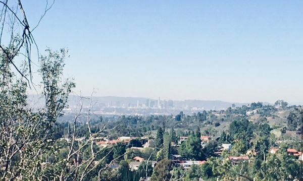 MURPHY RANCH PARK - 186 Photos & 45 Reviews - Hiking - 16200 Las ...