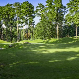 THE FROG GOLF CLUB - Updated July 2024 - 291 Photos & 19 Reviews - 2699 ...