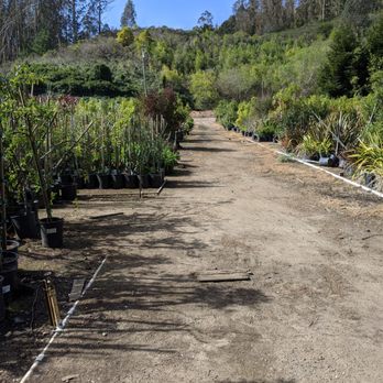 BONGARD’S TREESCAPE NURSERY - Updated December 2025 - 29 Reviews ...