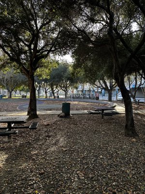 ARENA GREEN - Updated December 2025 - 44 Photos & 29 Reviews - Autumn ...