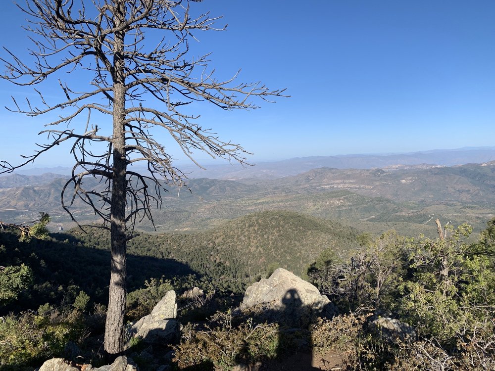 MOUNT ORD - 17 Photos - Hiking - Unnamed Rd, Rio Verde, AZ - Yelp