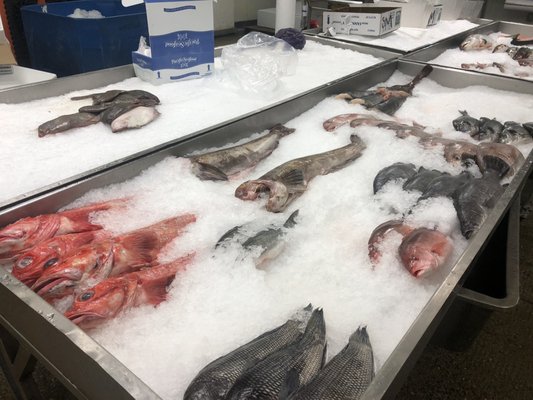 LOS ANGELES FISH COMPANY - Updated September 2024 - 165 Photos & 105 ...