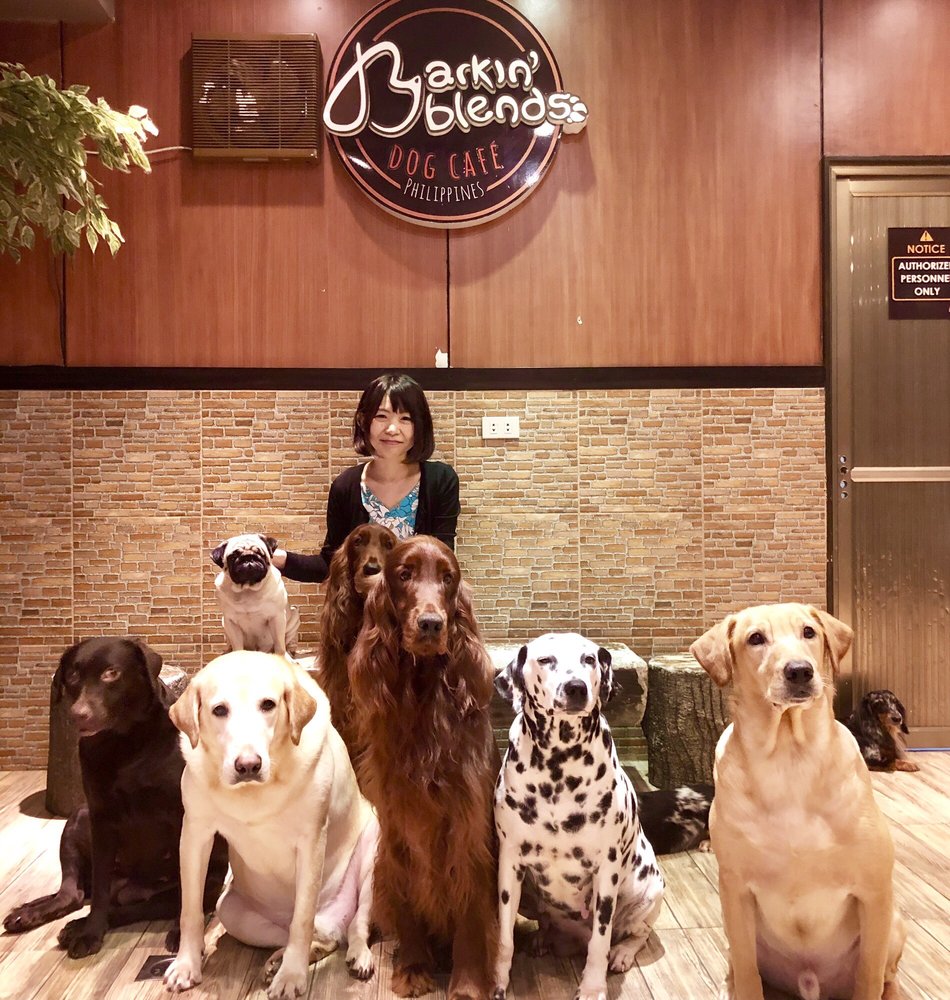 BARKIN’ BLENDS DOG CAFE - Updated October 2025 - 28 Photos - 91 Rosa ...