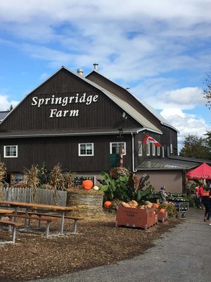 SPRINGRIDGE FARM - Updated December 2025 - 160 Photos & 44 Reviews ...