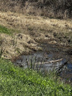 GEORGE RANCH HISTORICAL PARK - Updated September 2025 - 100 Photos & 45 ...