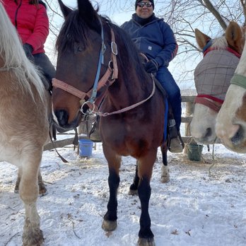 RED RIDGE RANCH RIDING STABLES - Updated October 2024 - 92 Photos & 53 ...