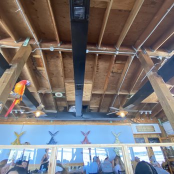 DOCKSIDE SEAFOOD MARKET - 805 Photos & 478 Reviews - 3311 Shore Dr ...