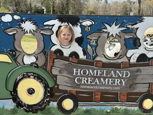 HOMELAND CREAMERY - Updated December 2025 - 62 Photos & 73 Reviews ...
