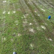 SOUTH RIDING GOLF CLUB - 32 Photos & 32 Reviews - Golf - 43237 Golf ...