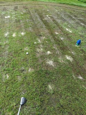 SOUTH RIDING GOLF CLUB - Updated May 2024 - 38 Photos & 36 Reviews ...