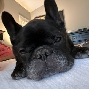 SLATON VETERINARY HOSPITAL - Updated December 2025 - 102 Photos & 191 ...