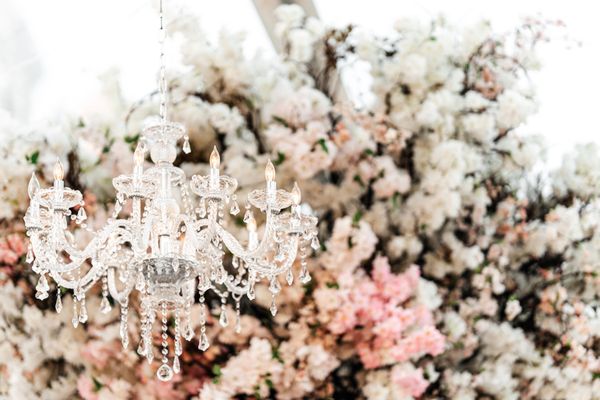 PETAL PRODUCTIONS - Updated January 2026 - 31 Photos & 23 Reviews ...