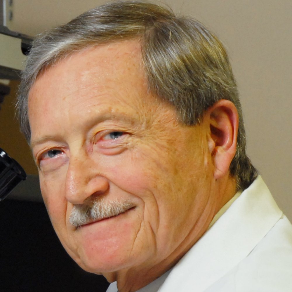 Beth Korn's Instagram, Twitter & Facebook on IDCrawl