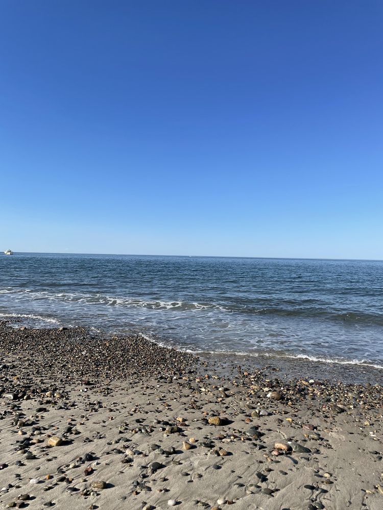 REXHAME BEACH - Updated September 2025 - 36 Photos & 42 Reviews - 325 ...