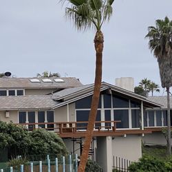 ALL ACCESS TREE CARE - 148 Photos & 190 Reviews - Tree Services - 289 ...