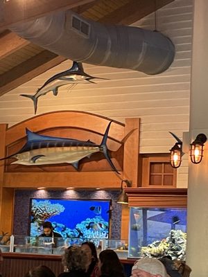 SAILFISH MARINA - Updated November 2025 - 912 Photos & 951 Reviews - 98 ...