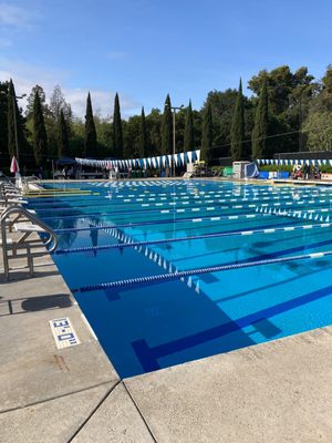 MILLS COLLEGE AT NORTHEASTERN UNIVERSITY POOL - Updated October 2025 ...