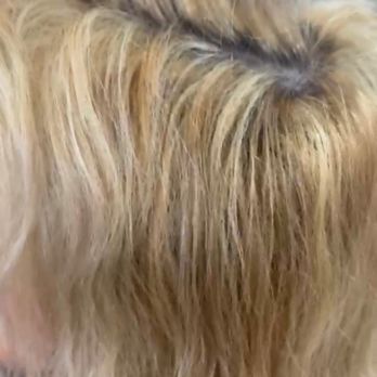 MUSART SALON - Updated January 2025 - 210 Photos & 31 Reviews - 5859 Fruitville Rd, Sarasota ...