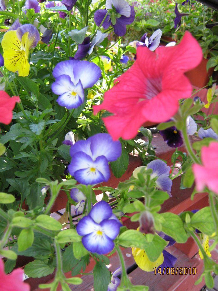 ASPEN SOUND - Updated October 2025 - 20 Reviews - 1300 W Broadway St ...