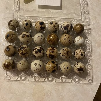 PROLIFIC BUTCHER SHOP - Updated December 2024 - 36 Photos & 56 Reviews ...