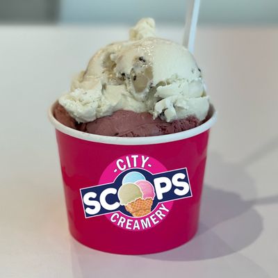 CITY SCOOPS CREAMERY - Updated January 2026 - 48 Photos - 1100 South ...