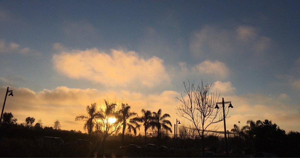 ENCINITAS COMMUNITY PARK - Updated October 2024 - 222 Photos & 81 ...