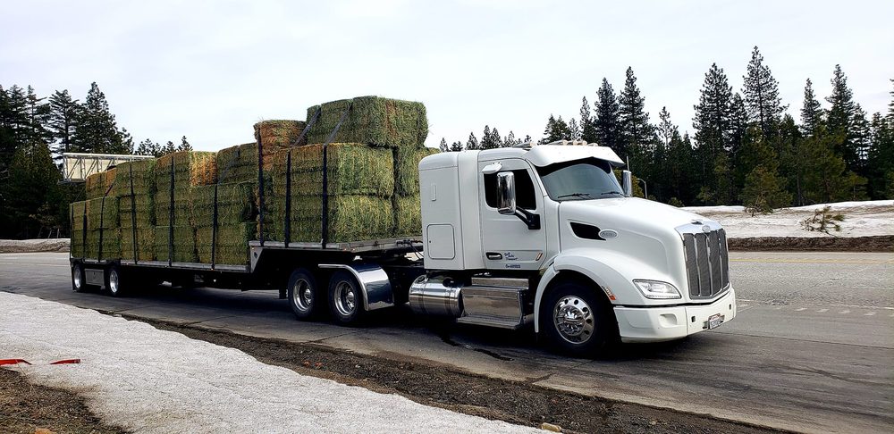 ROCK SOLID TRANSPORT - Sacramento, California - Public Transportation ...