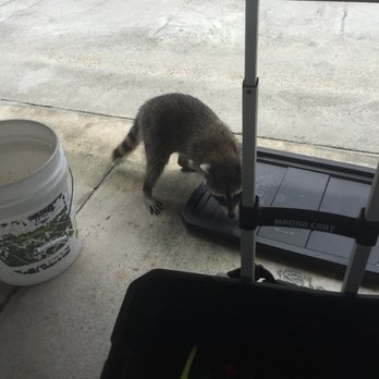 MARKHAM PARK TARGET RANGE - Updated January 2026 - 29 Photos & 43 ...