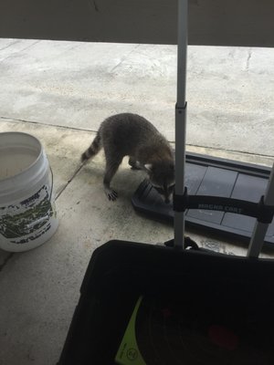 MARKHAM PARK TARGET RANGE - 12 Photos & 25 Reviews - 16001 W State Rd ...