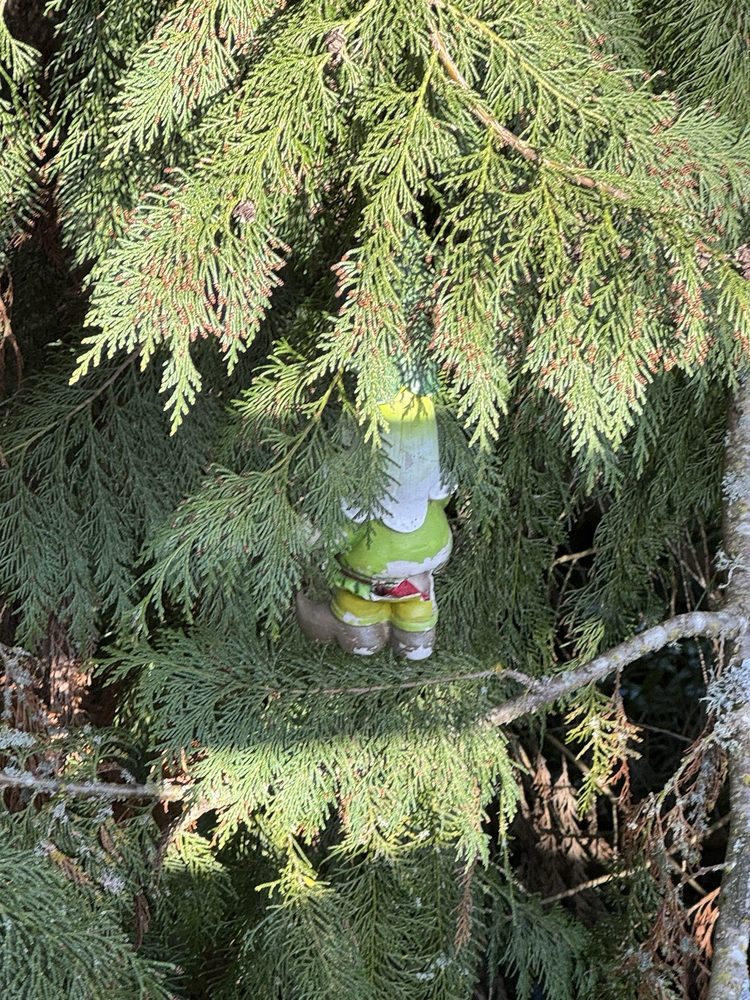 VALLEY OF THE GNOMES - Updated August 2025 - 23 Photos - 3904 E Pine St ...