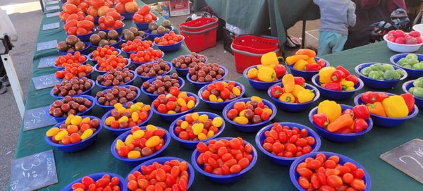 SOUTH COLLIER FARMERS MARKET - Updated July 2025 - 20 Photos - 7505 ...