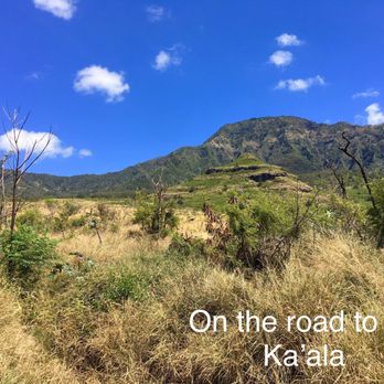 MT KA’ALA TRAIL - Updated January 2026 - 343 Photos & 45 Reviews ...