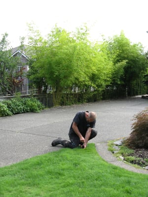 THE SPRINKLER GUY - Updated December 2025 - 13 Photos & 33 Reviews ...