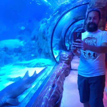 SEA LIFE GRAPEVINE AQUARIUM - Updated April 2025 - 473 Photos & 262 ...