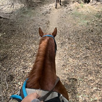 VIN HESTEN TRAIL RIDES - Updated December 2025 - 111 Photos & 216 ...