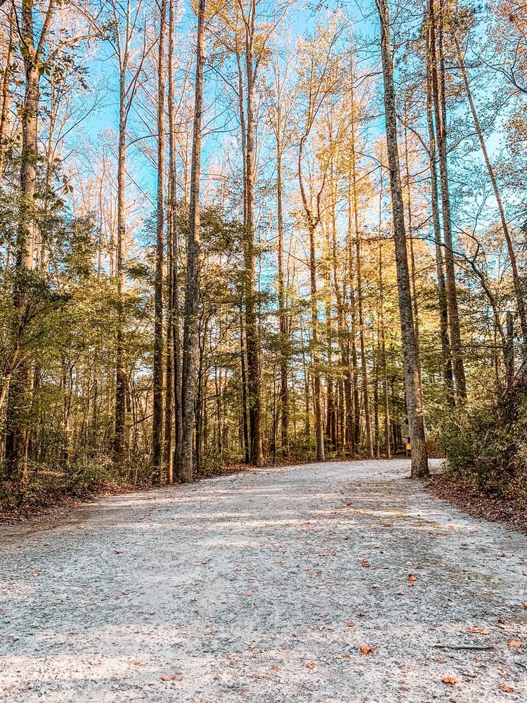 GARRARD LANDING PARK - Updated July 2024 - 73 Photos - 8000 Holcomb ...