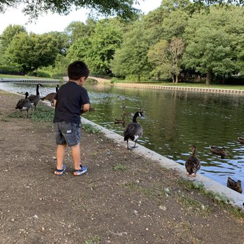 HALLS POND PARK - Updated October 2025 - 22 Photos - 671 Nassau Blvd ...