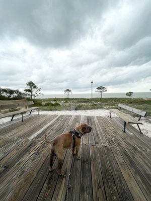 AUDUBON BIRD SANCTUARY - Updated December 2025 - 192 Photos & 25 ...