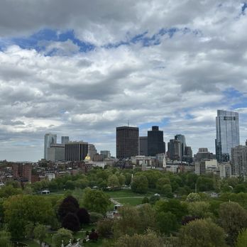 CONTESSA - BOSTON - Updated October 2025 - 1750 Photos & 669 Reviews ...