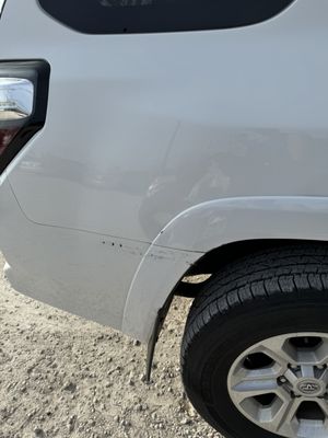 FOX RENT A CAR - DALLAS FORT WORTH - Updated December 2025 - 35 Photos ...