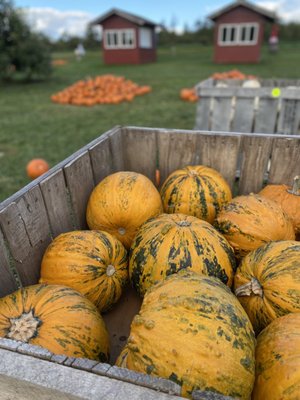 HOLMBERG ORCHARDS - Updated October 2025 - 239 Photos & 93 Reviews - 12 ...