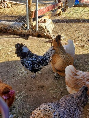 PATHFINDER RANCH - Updated April 2025 - 39 Photos & 19 Reviews - 35510 ...