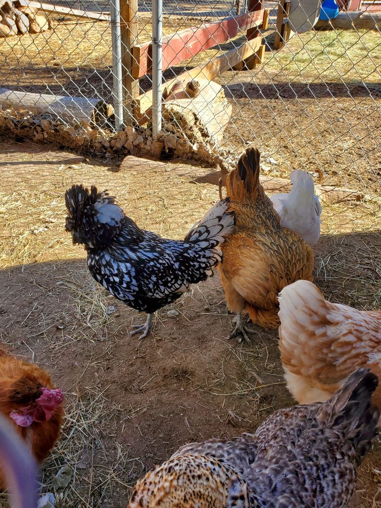 PATHFINDER RANCH - Updated April 2025 - 39 Photos & 19 Reviews - 35510 ...