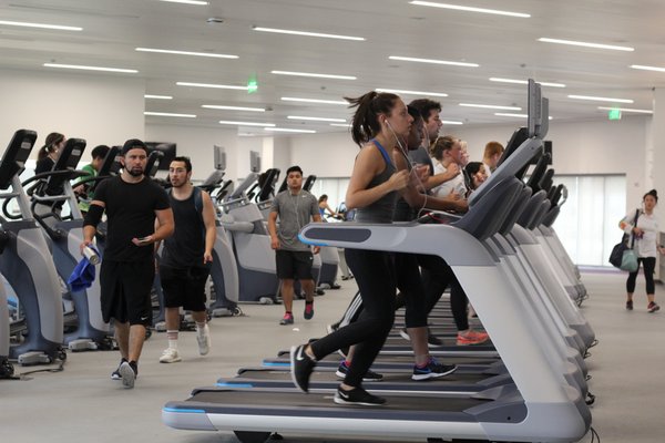 MASHOUF WELLNESS CENTER - Updated December 2025 - 24 Photos & 33 ...