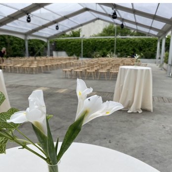 99 SCOTT - Updated December 2025 - 47 Photos & 13 Reviews - 99 Scott ...