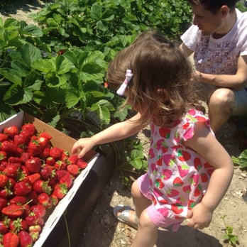 SHLAGEL FARMS - Updated May 2024 - 106 Photos & 35 Reviews - 12850 ...