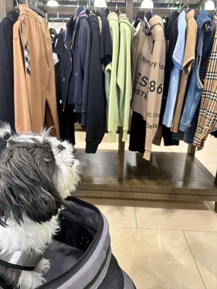 BURBERRY OUTLET - Updated November 2025 - 16 Photos & 30 Reviews - 241 ...