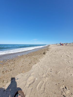 SANDY NECK BEACH PARK - Updated December 2025 - 42 Photos & 41 Reviews ...