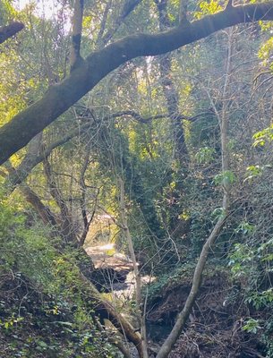 DOYLE PARK - Updated November 2025 - 20 Reviews - 698 Doyle Park Dr ...